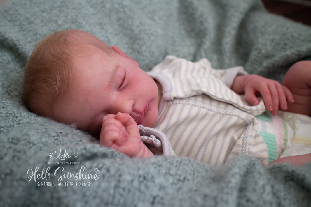 Adopted Reborns – Hello Sunshine Reborns