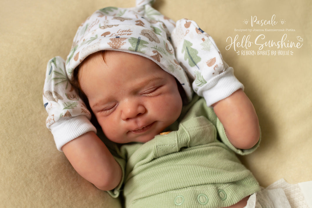 Hello Sunshine Reborns - Australian Reborn Artist