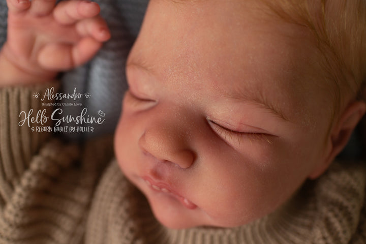 Hello Sunshine Reborns - Australian Reborn Artist